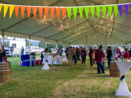 Event & Party Bunting | Pennant Bunting & Vinyl Bunting Flags